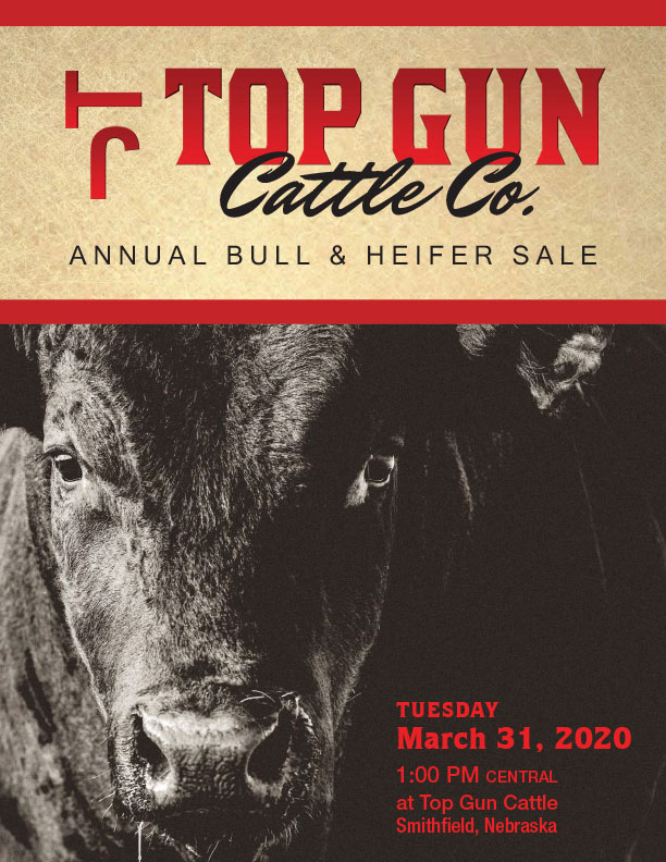 Home - Top Gun Cattle